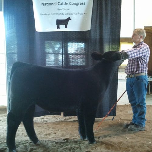 The National Cattle Congress - Home of the National Cattle Congress Fair